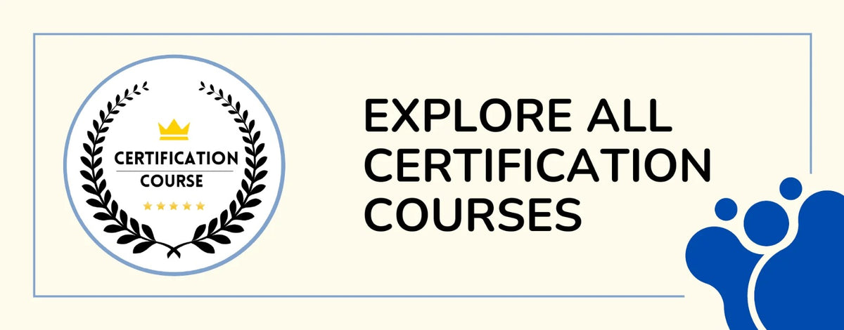 Training & Certification Courses in Saudi Arabia - Team Academy – Team Academy Saudi